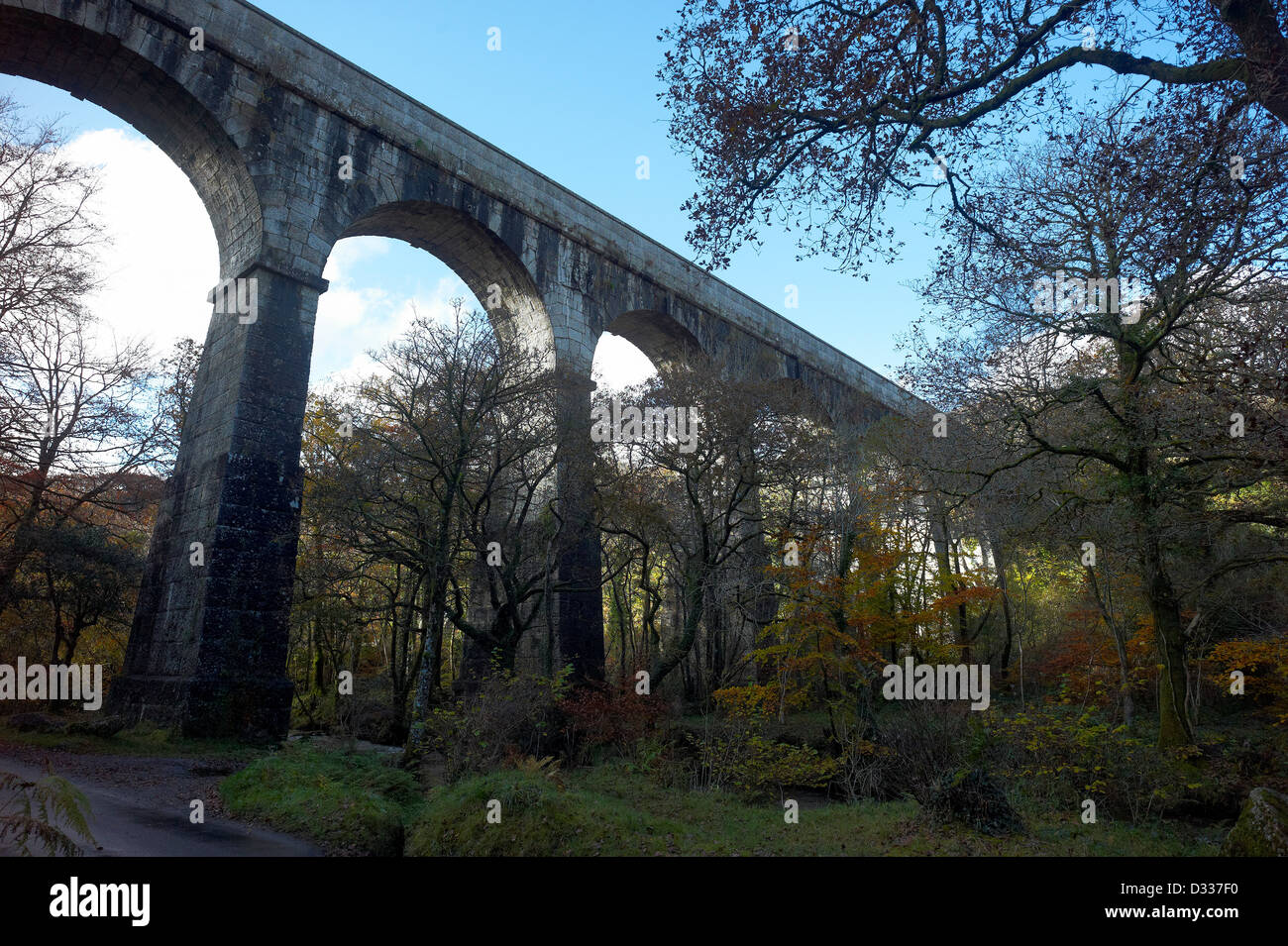 Treffry viaduct over the River Parr passing through woodland in ...