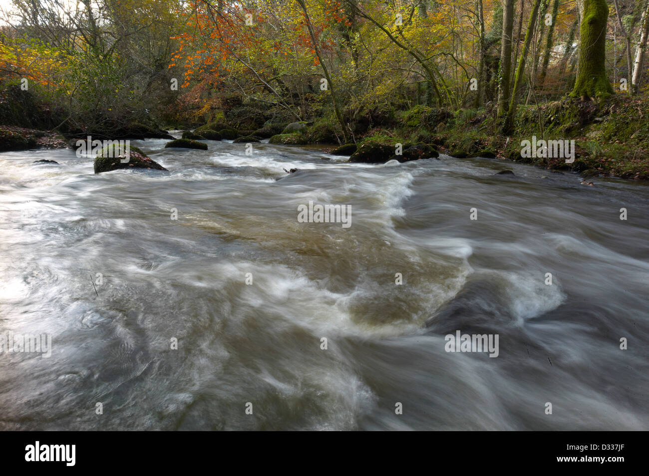 Luxulyan valley hi-res stock photography and images - Alamy