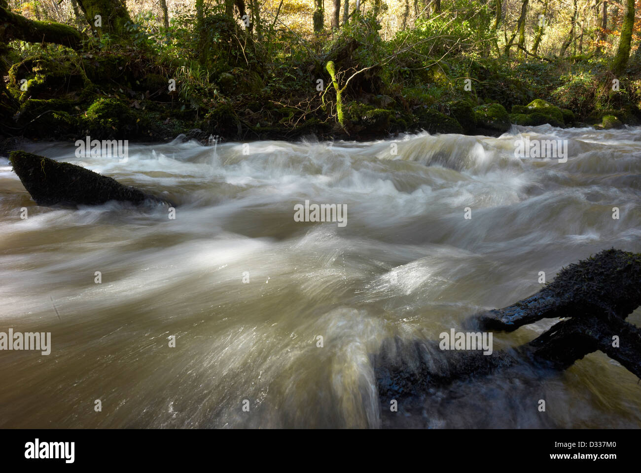 River Parr passing through woodland in Luxulyan Valley Cornwall England ...