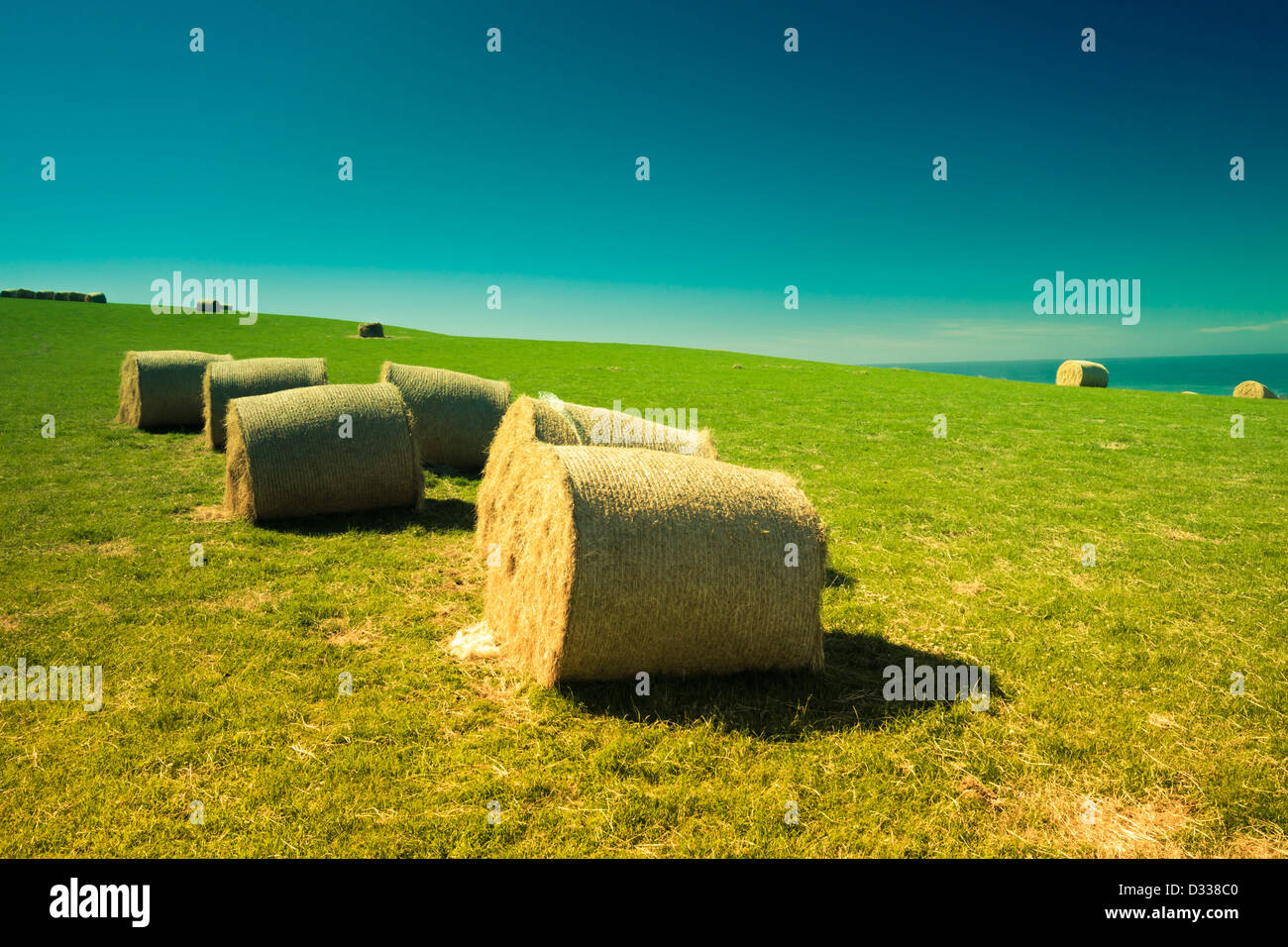 Hay field in new zealand hi-res stock photography and images - Alamy