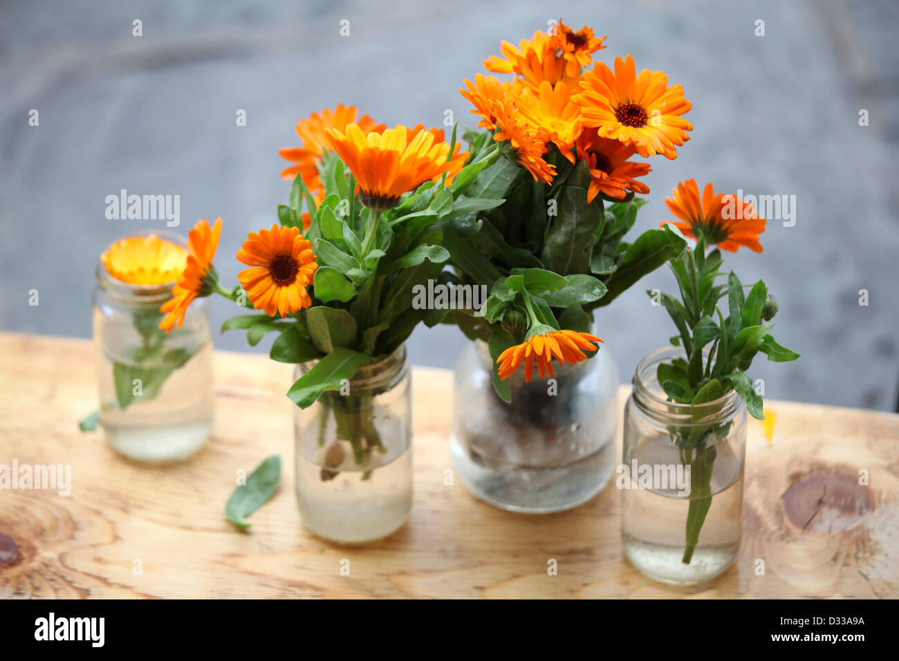 orange calendula flowers in glass jars on rustic wood surface in ...
