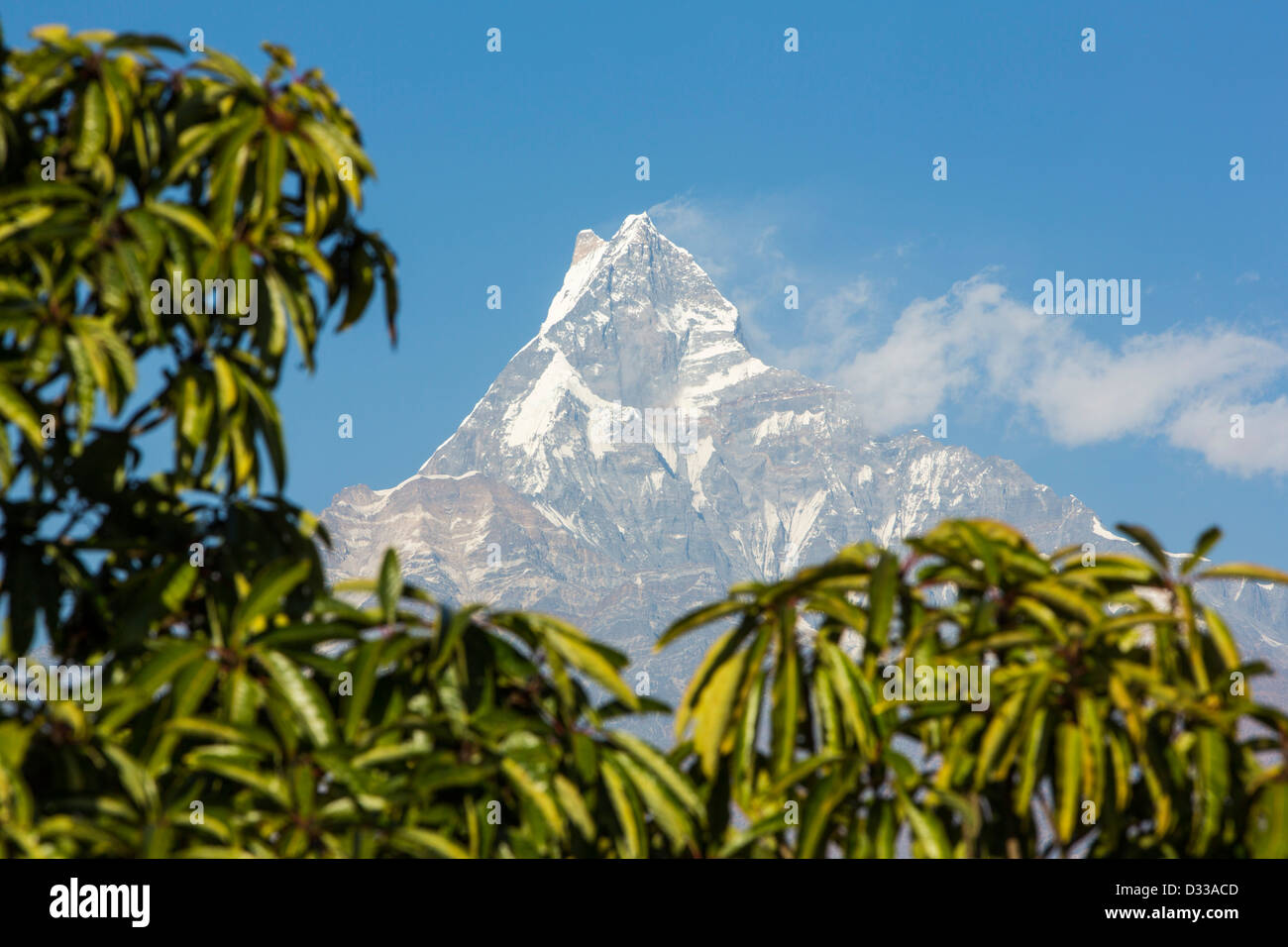 Machapuchare or the holy, Fish Tail Peak in the Annapurna Himalayas ...