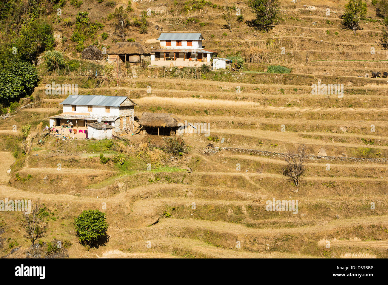 Agriculture subsistence hi-res stock photography and images - Alamy
