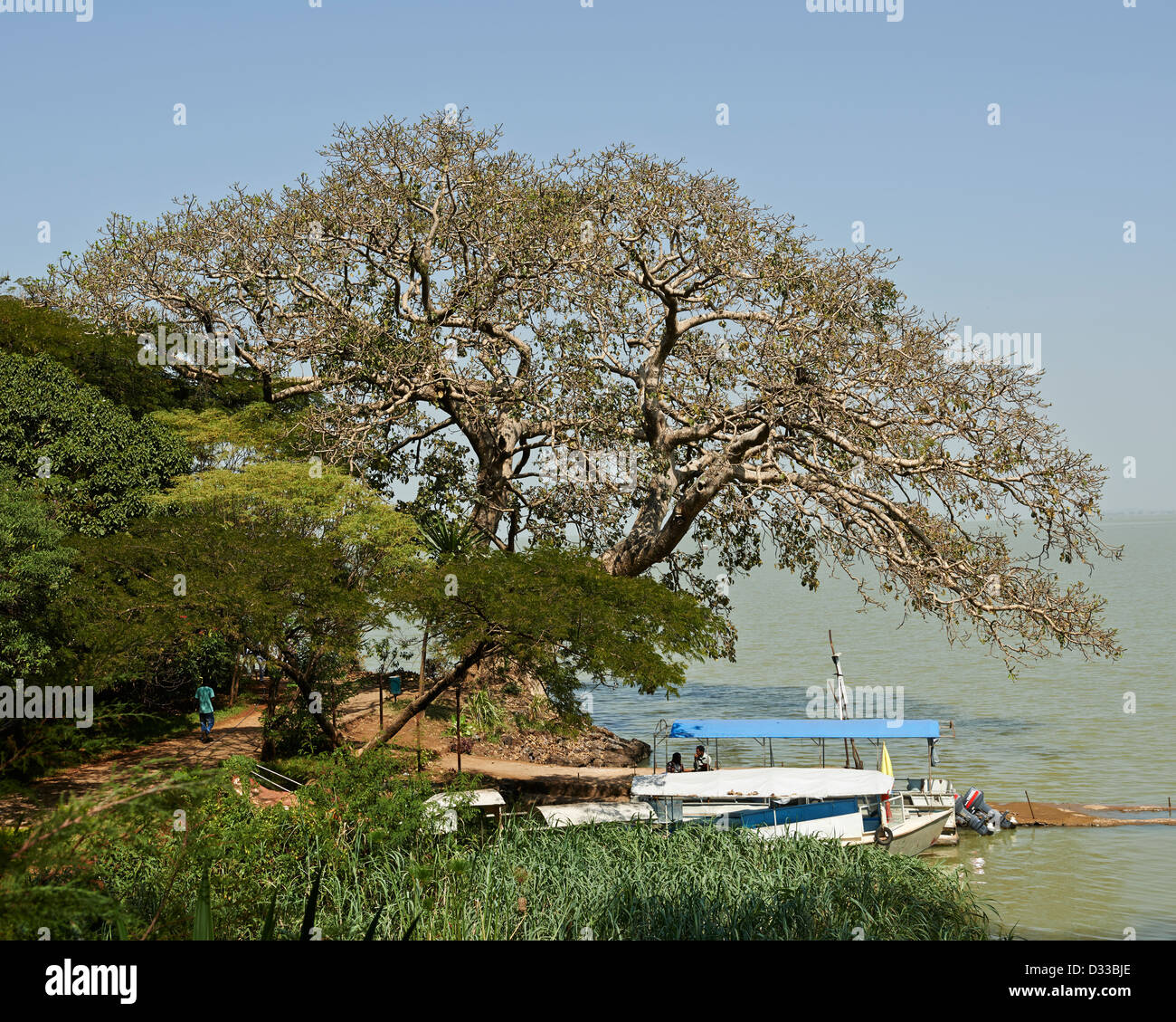 A boat docked at Lake Tana. The source of the Blue Nile and the largest ...