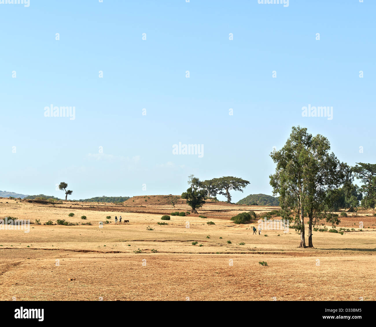 Dry Grassland Of West Africa at Tristan Meehan blog