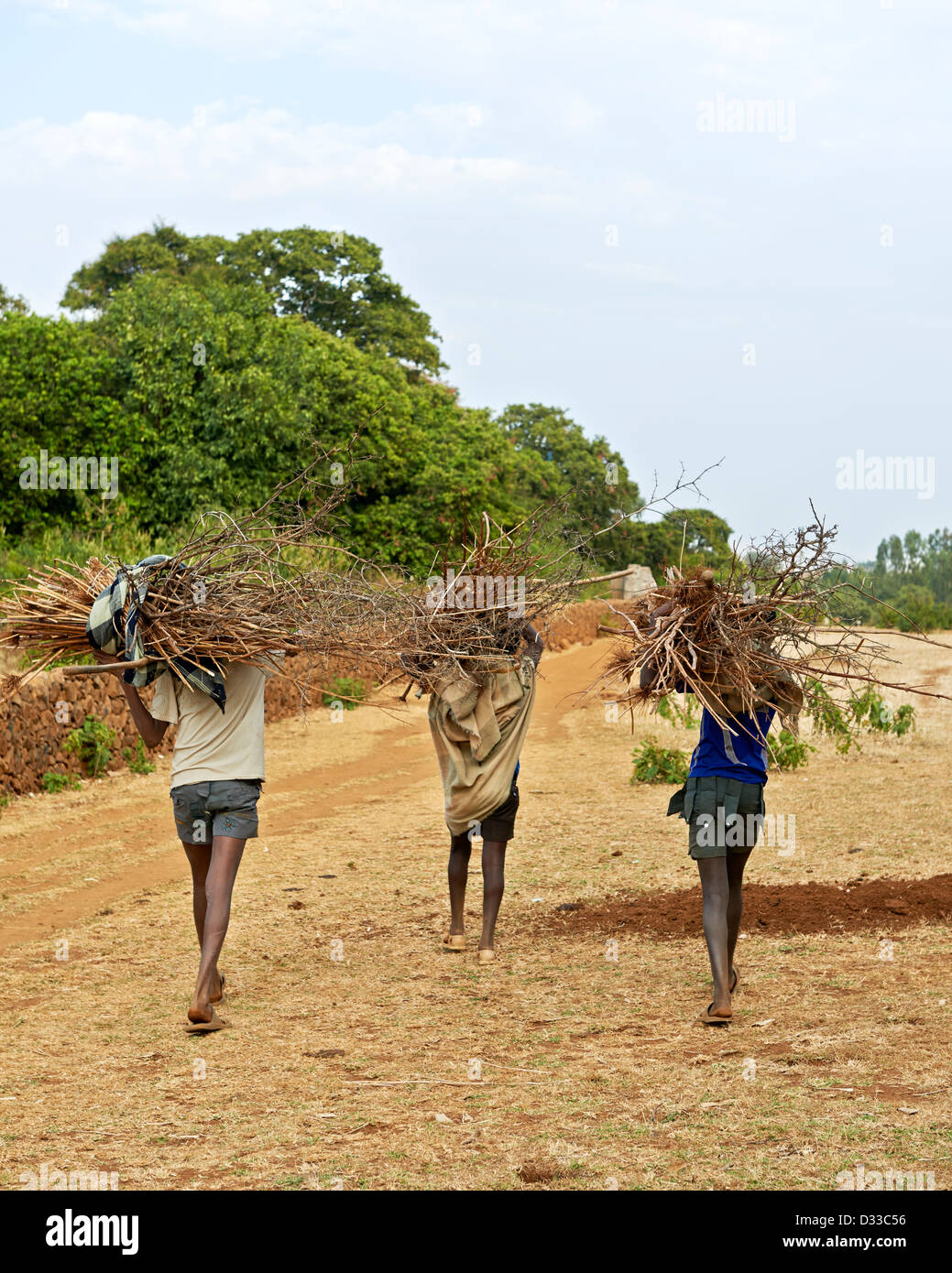 Collecting firewood africa hi-res stock photography and images - Alamy