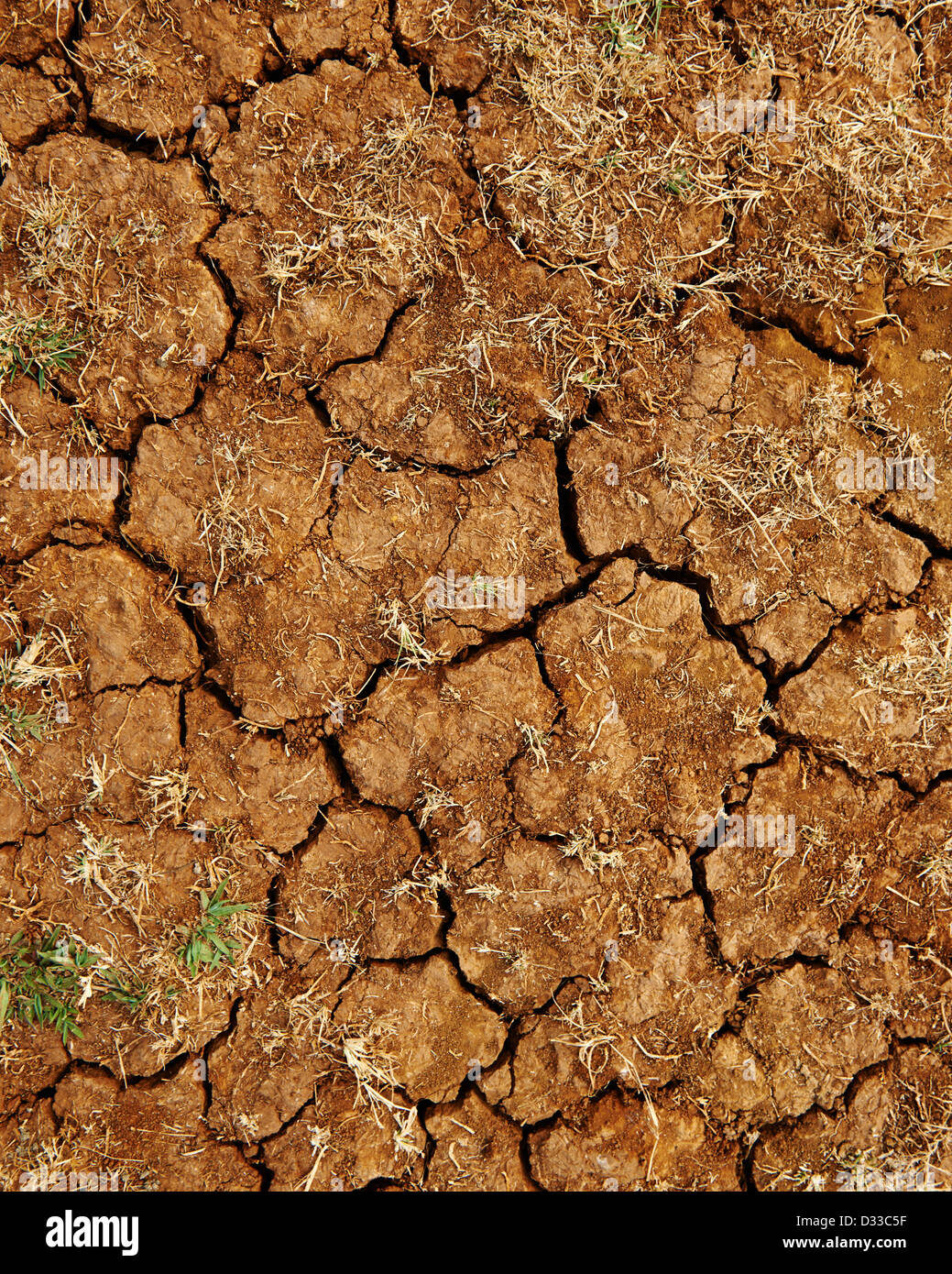 The arid dry cracked earth from drought in Ethiopia, Africa Stock Photo ...