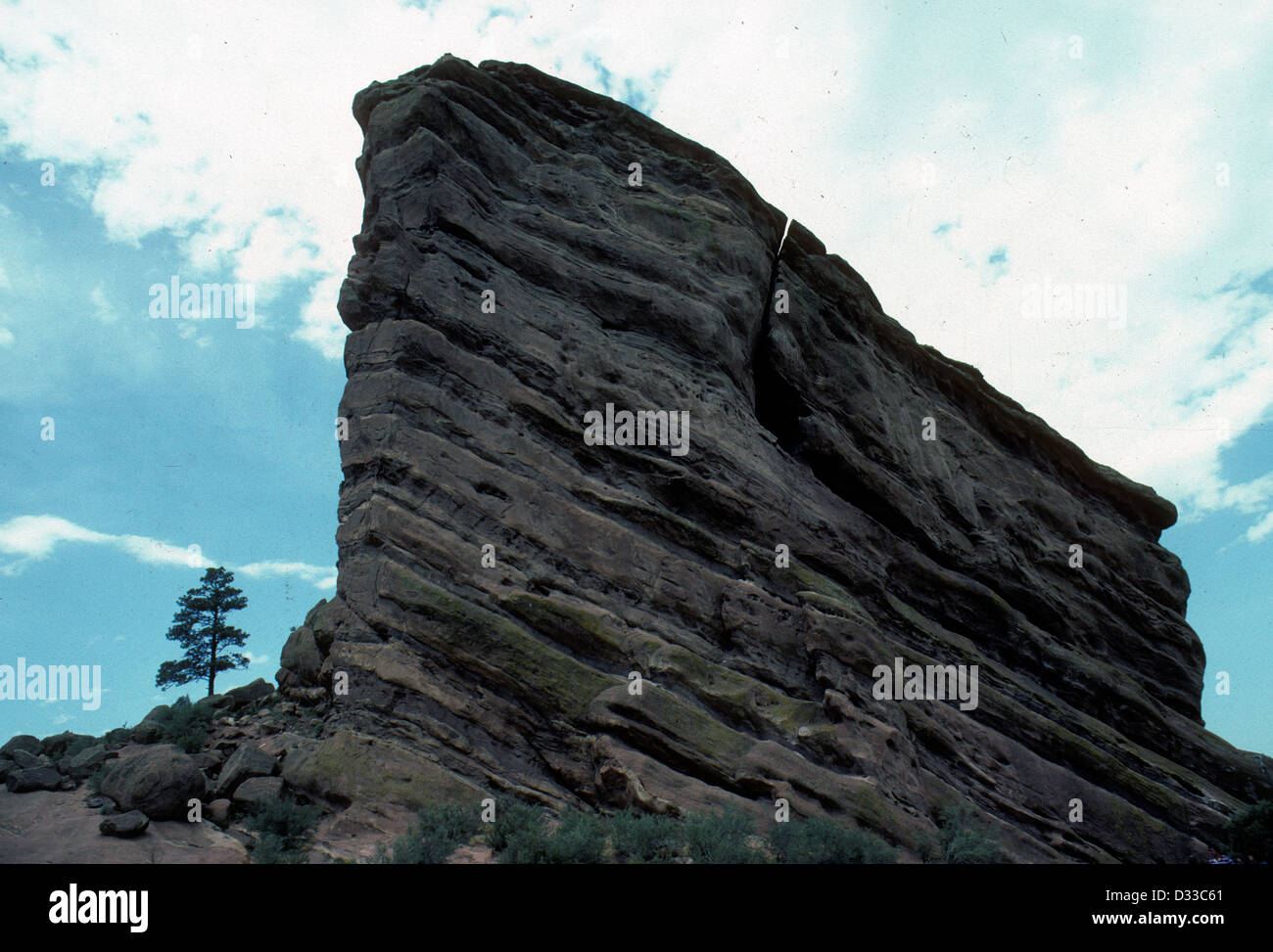 Red rocks pine hi-res stock photography and images - Alamy