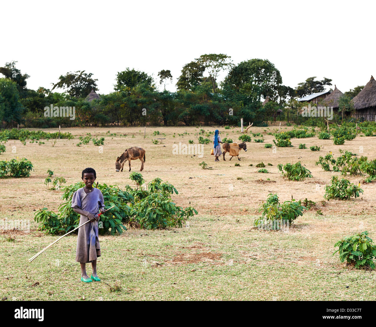 Ethiopia crops hi-res stock photography and images - Alamy