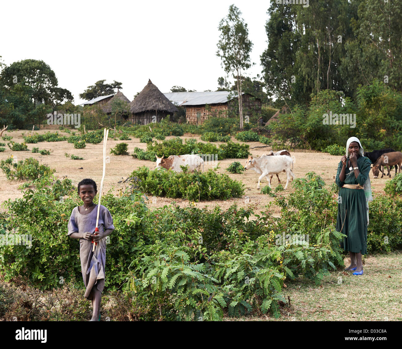 Ethiopia crops hi-res stock photography and images - Alamy