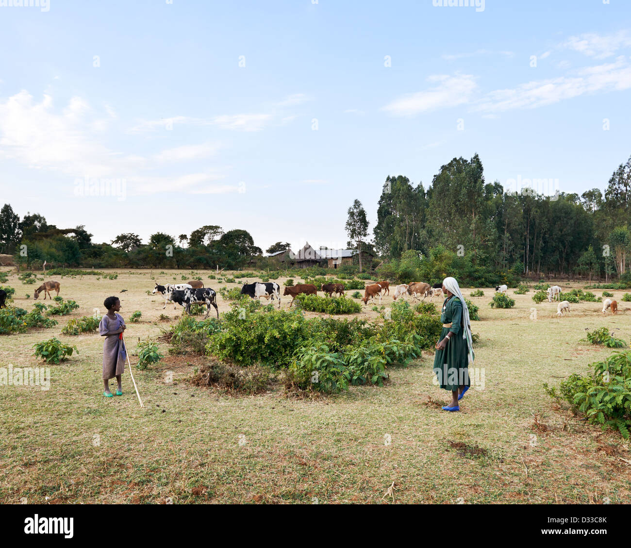 Child cattle africa hi-res stock photography and images - Alamy