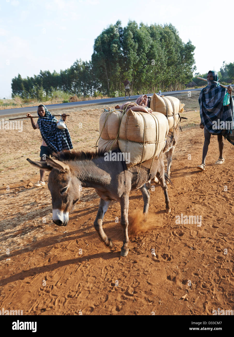 Donkey Transport High Resolution Stock Photography and Images - Alamy