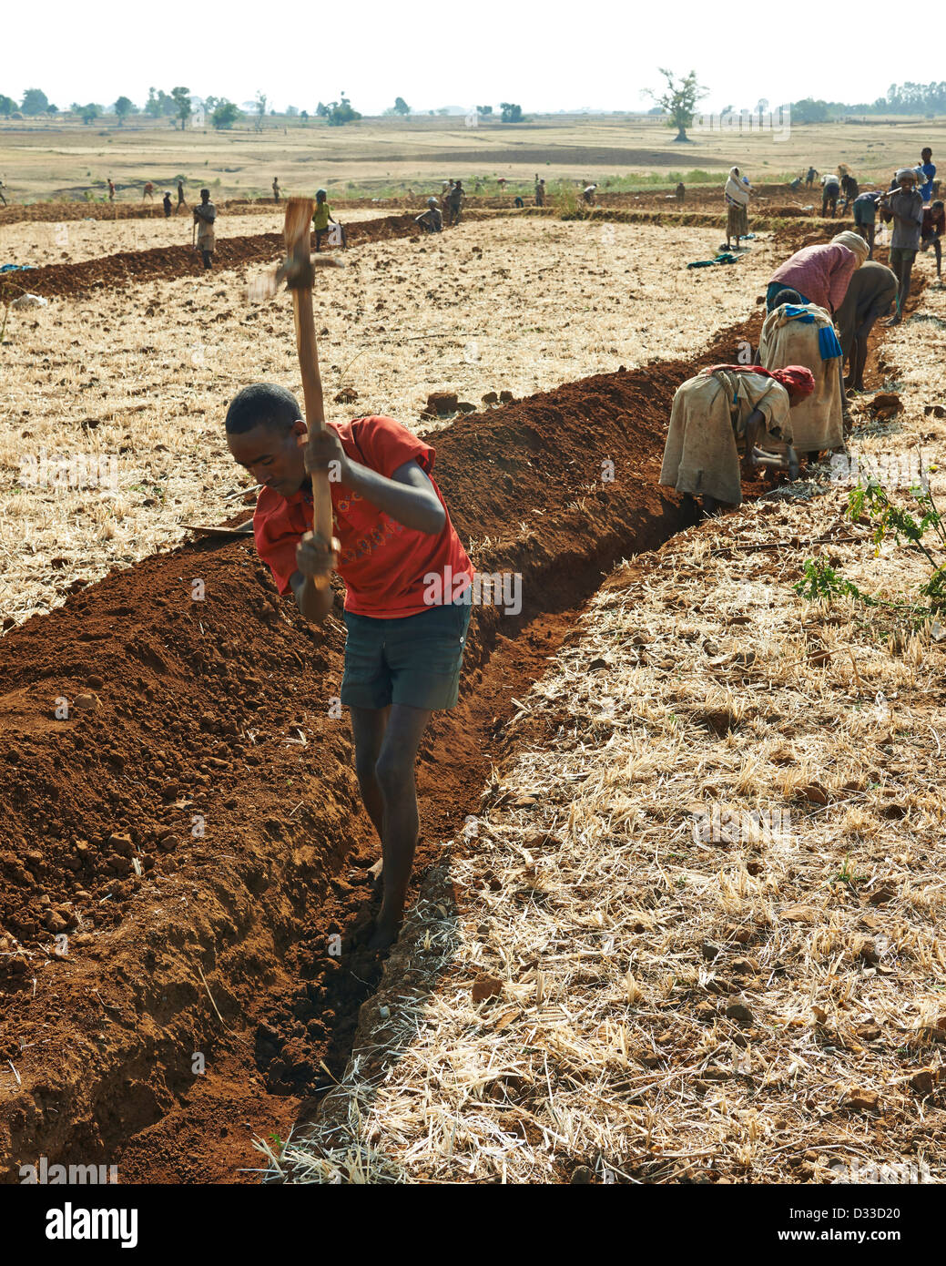 Volunteer assisted social farming and cultivation of land in exchange ...