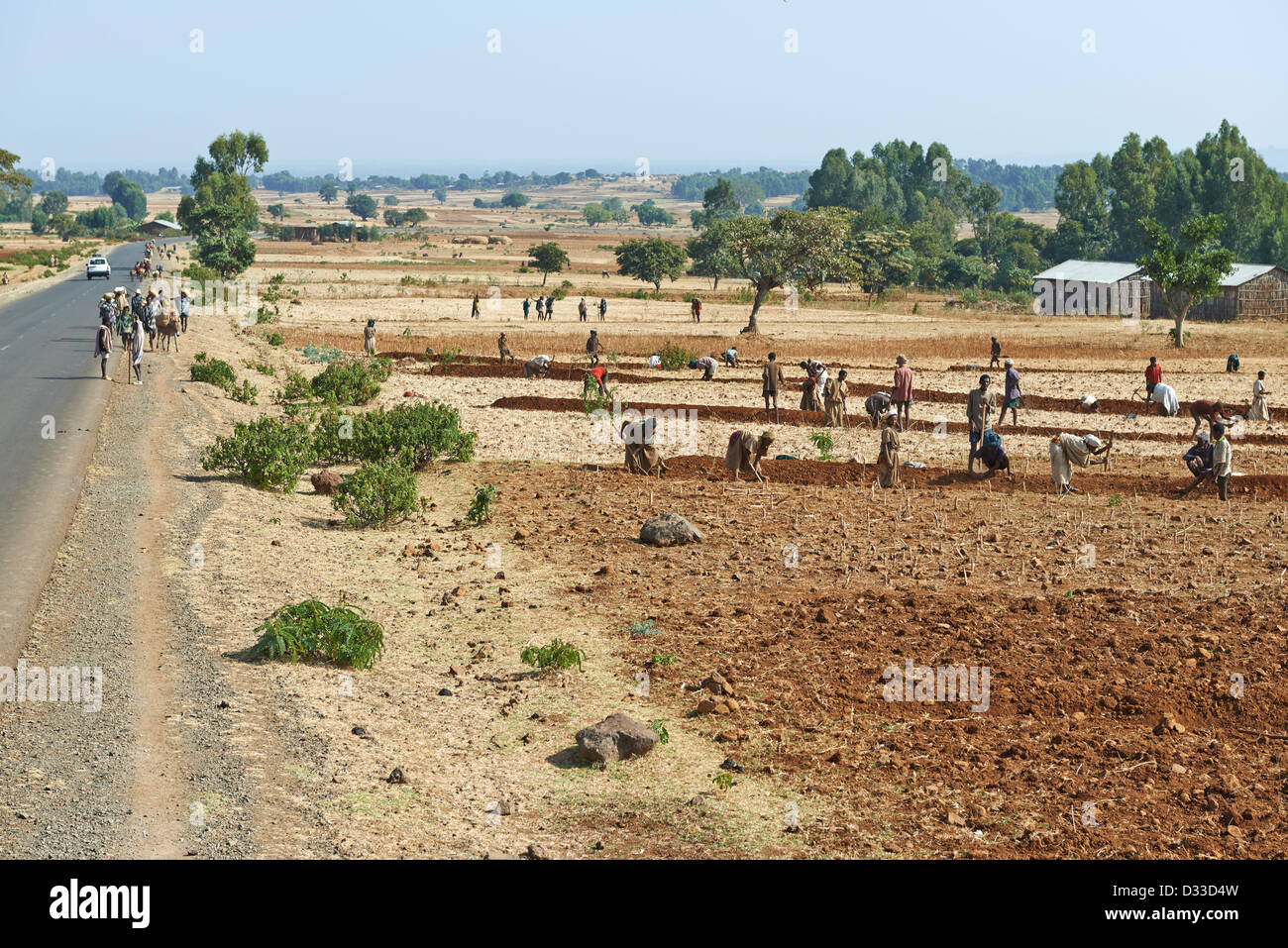 Volunteer assisted social farming and cultivation of land in exchange ...