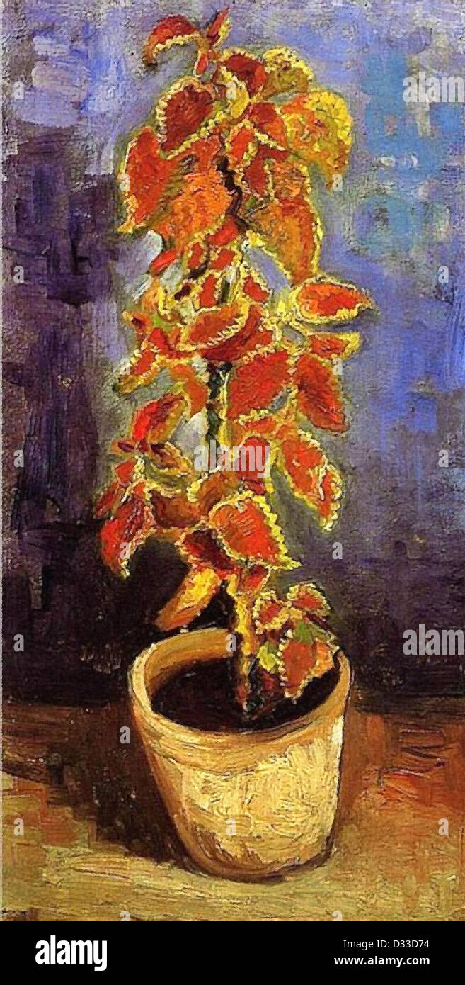 Vincent van Gogh: Coleus Plant in a Flowerpot. 1886. Oil on canvas. Van ...