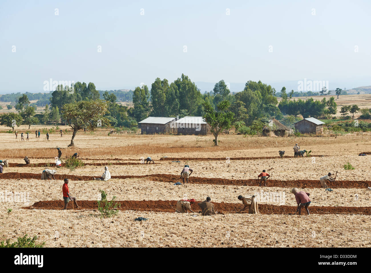 Volunteer assisted social farming and cultivation of land in exchange ...