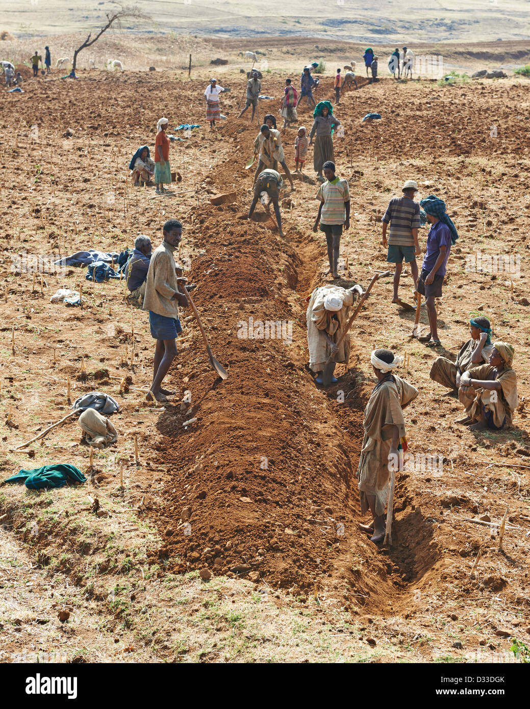 Volunteer assisted social farming and cultivation of land in exchange ...