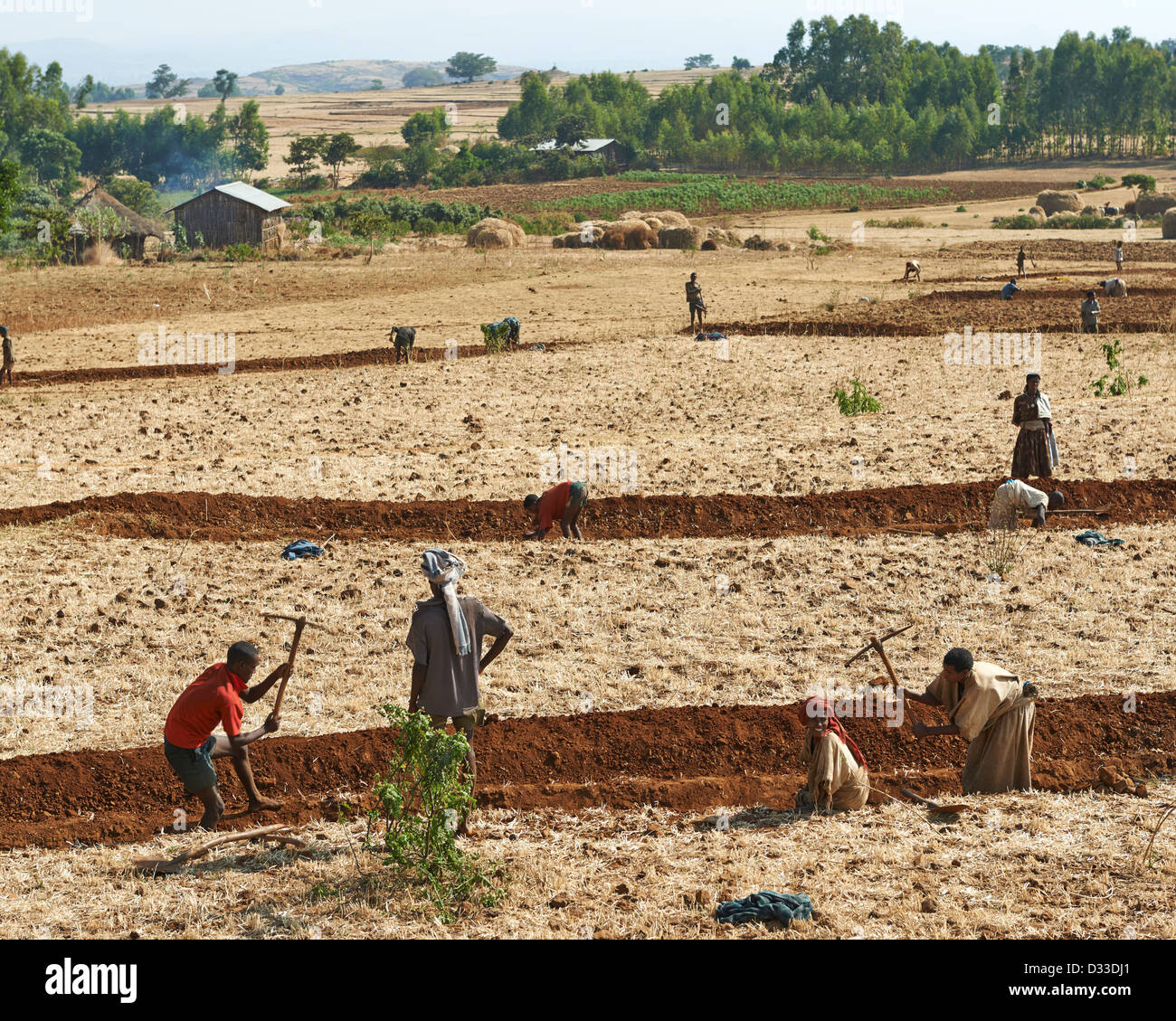 Volunteer assisted social farming and cultivation of land in exchange ...