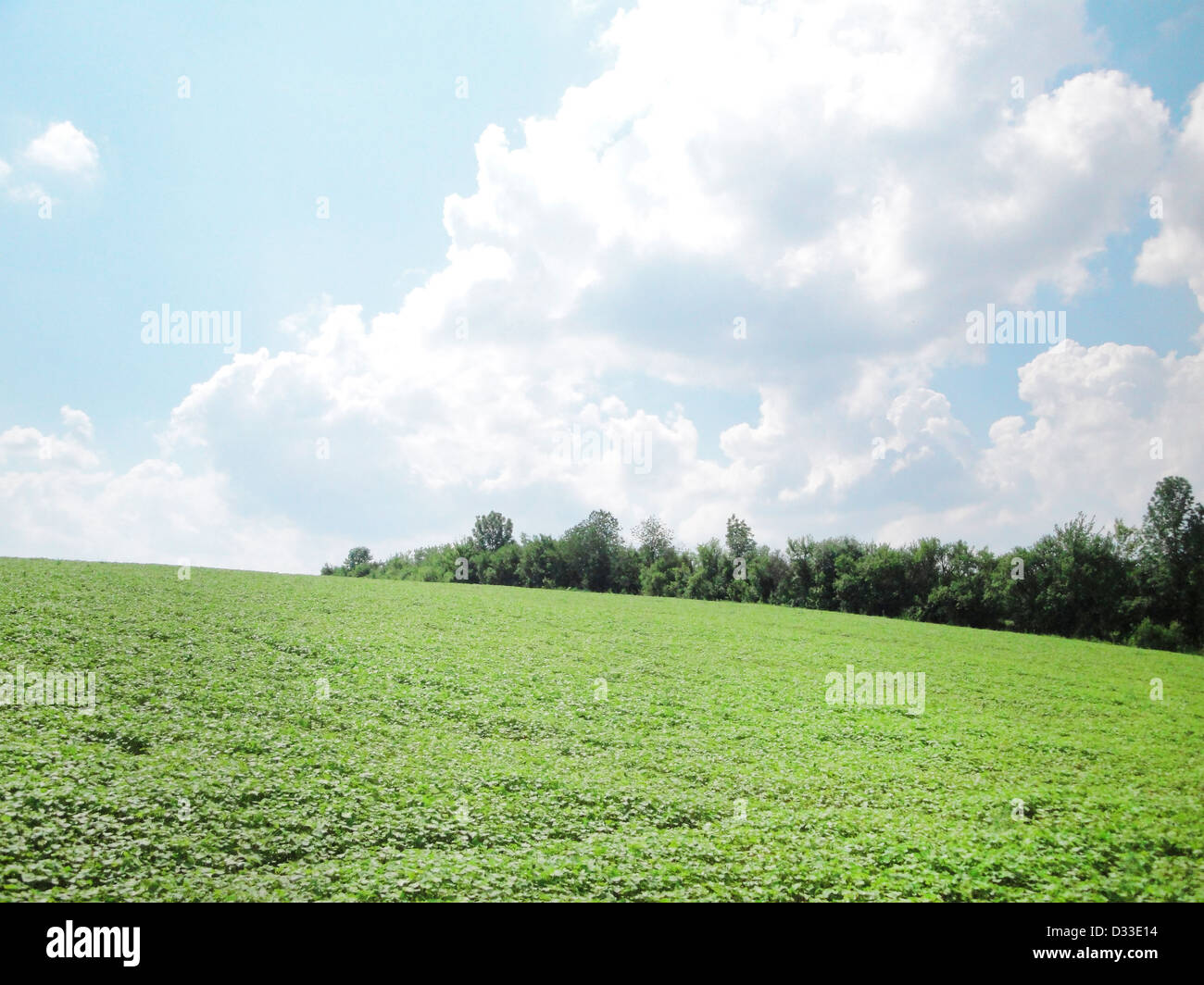 Beautiful summer landscape Stock Photo - Alamy