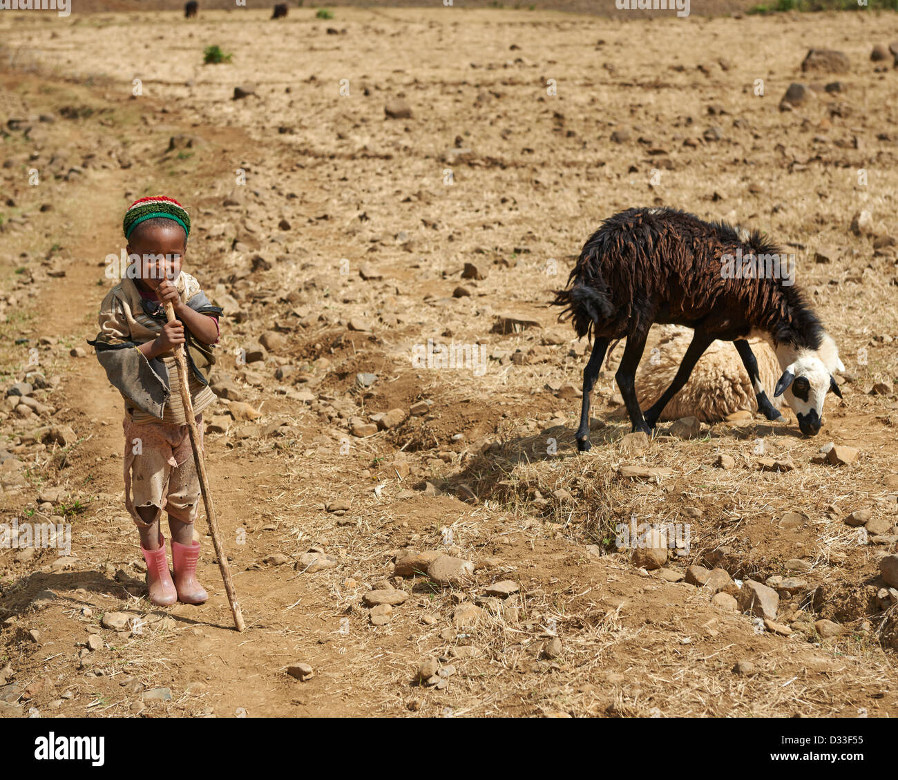 A young child stands with a stick playfully on a barren dry shield with ...