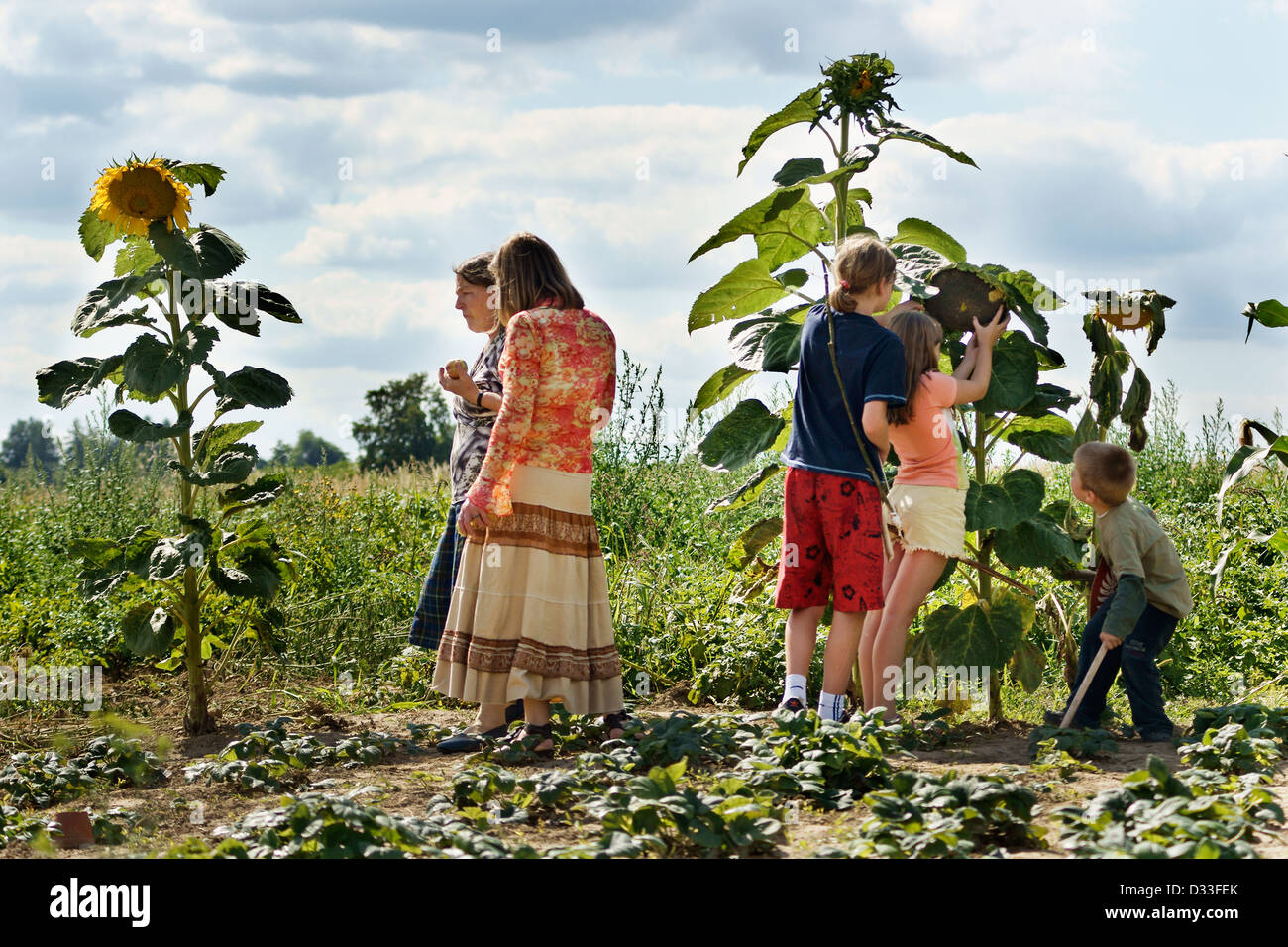 Family on field Stock Photo - Alamy