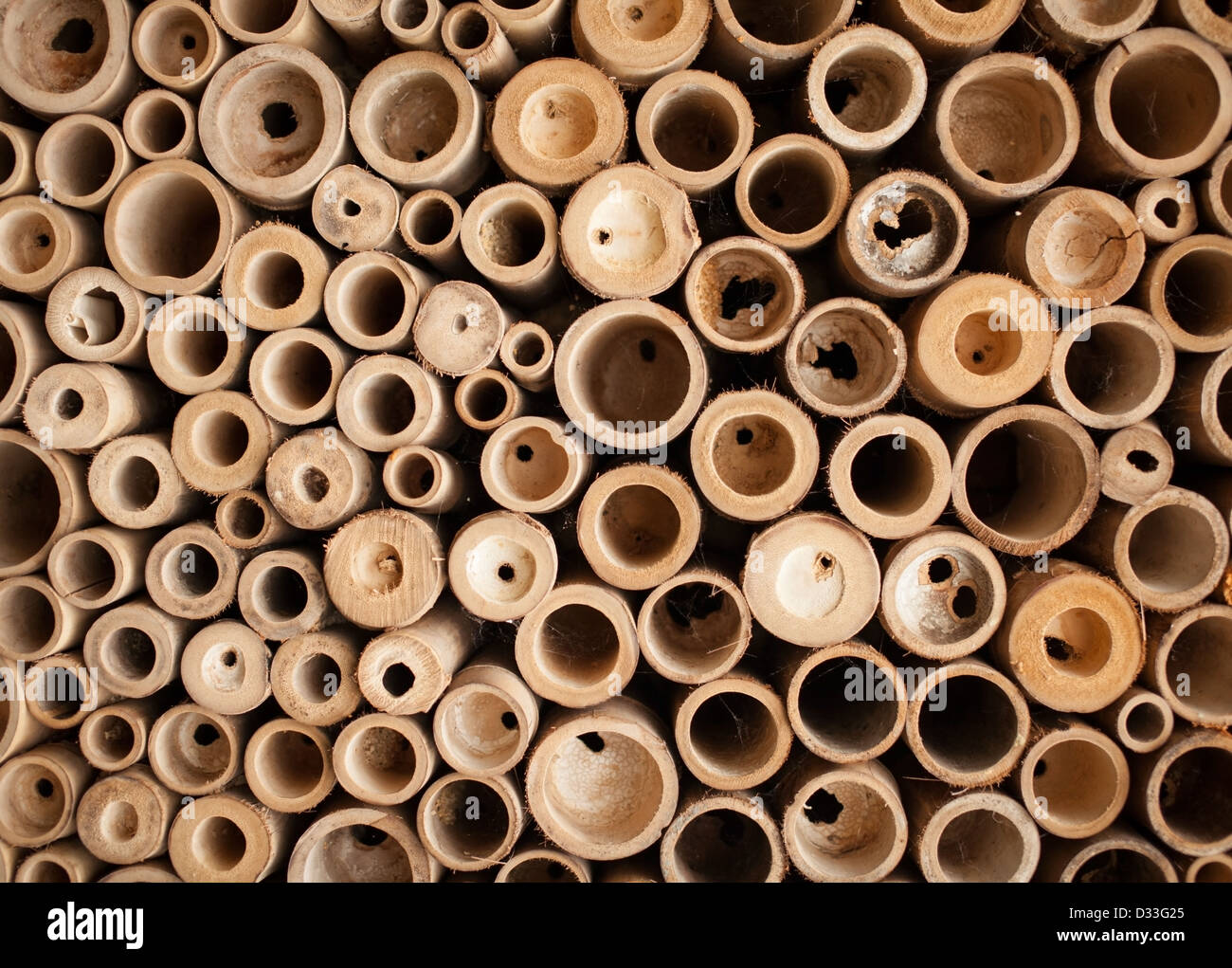 Cut bamboo hi-res stock photography and images - Alamy