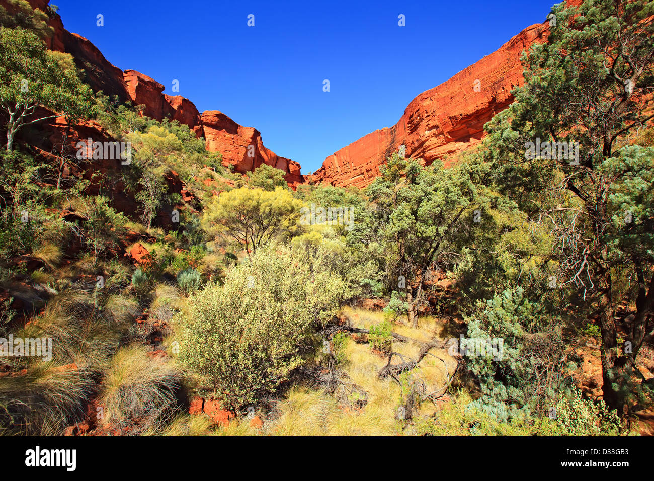 Kings Canyon Northern Territory Central Australia Stock Photo - Alamy