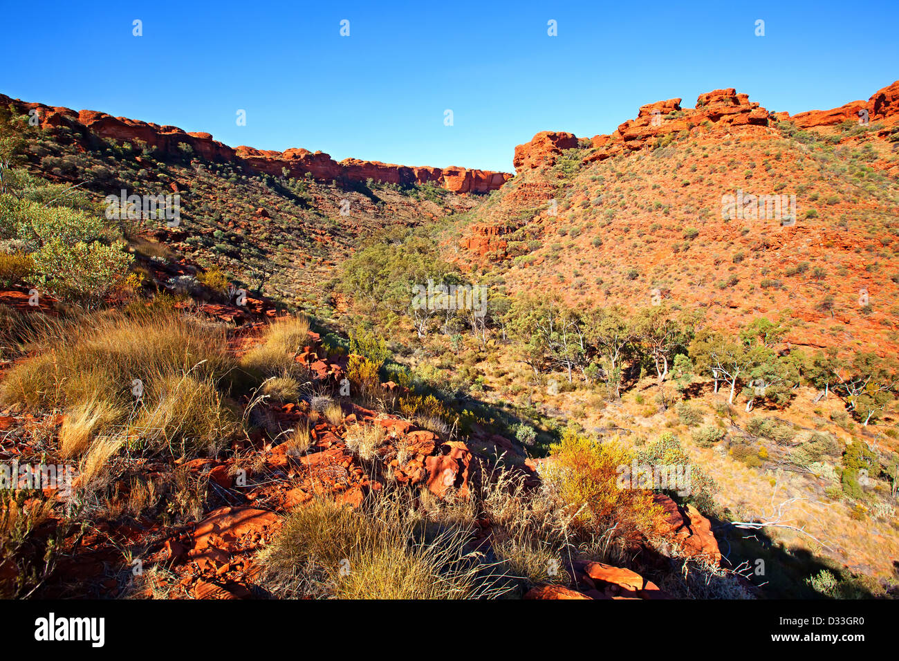 Kings canyon australian outback hi-res stock photography and images - Alamy