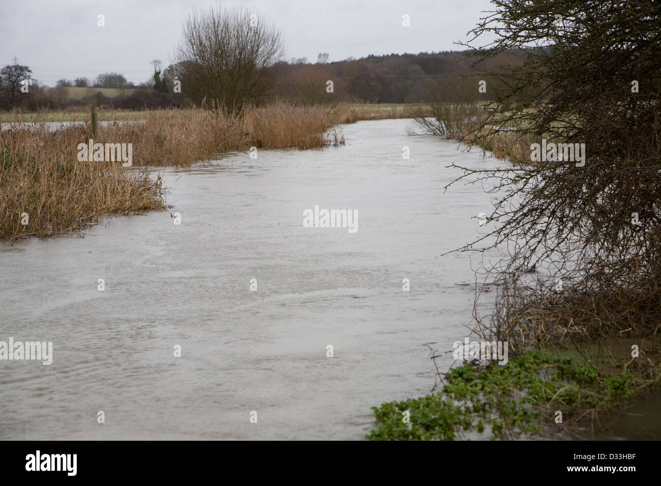 Flooding on the River Deben near Naunton Hall weir, Rendlesham, Suffolk ...
