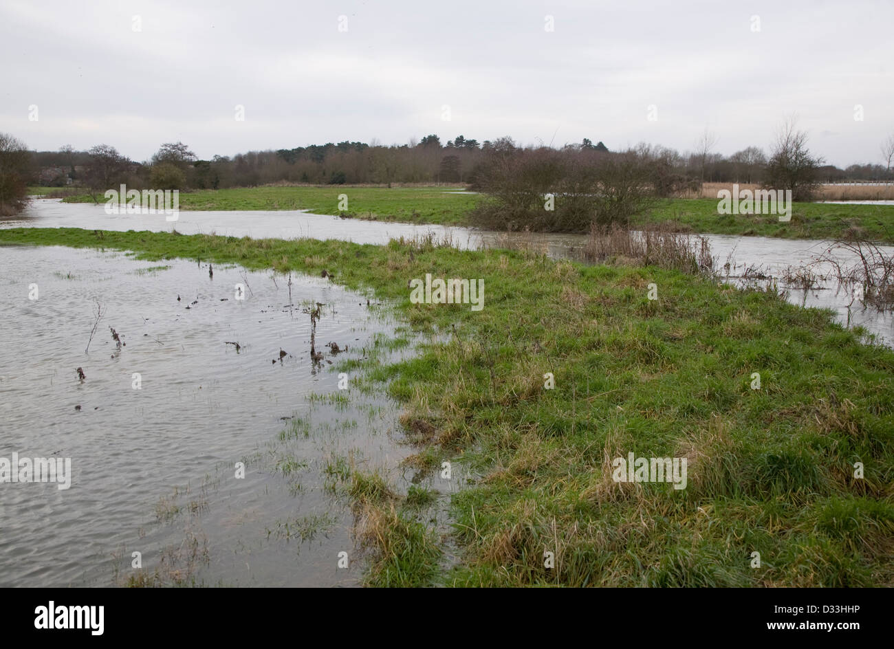 Flooding on the River Deben near Naunton Hall weir, Rendlesham, Suffolk ...