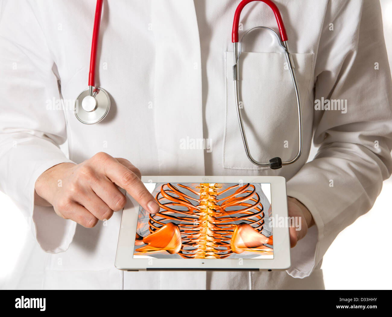 Skeleton Using Computer High Resolution Stock Photography and Images ...