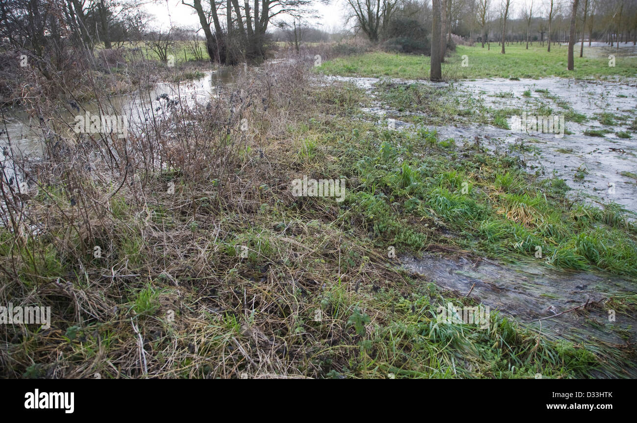 River deben valley and floodplain hi-res stock photography and images ...