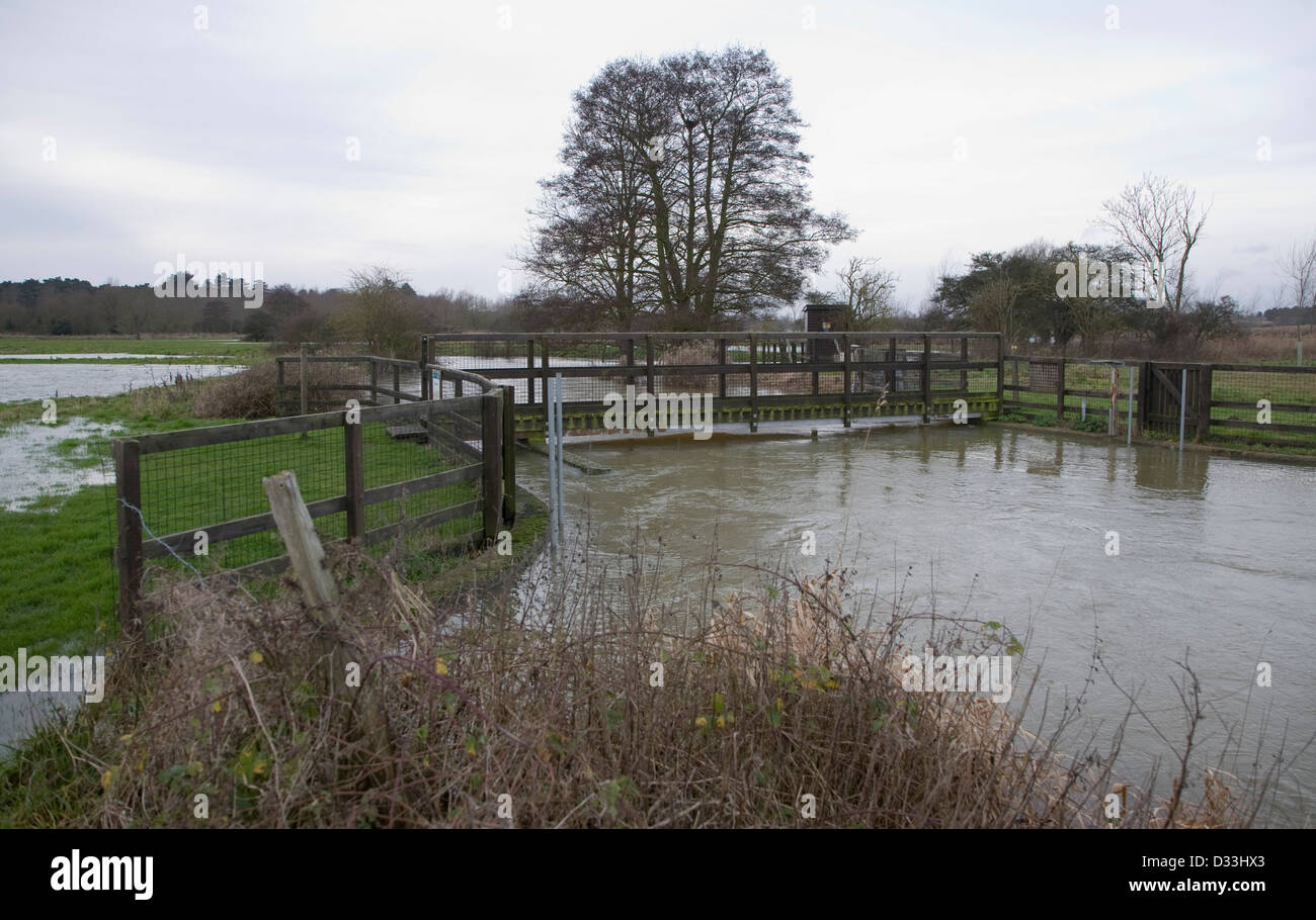 Flooding on the River Deben at Naunton Hall weir, Rendlesham, Suffolk ...