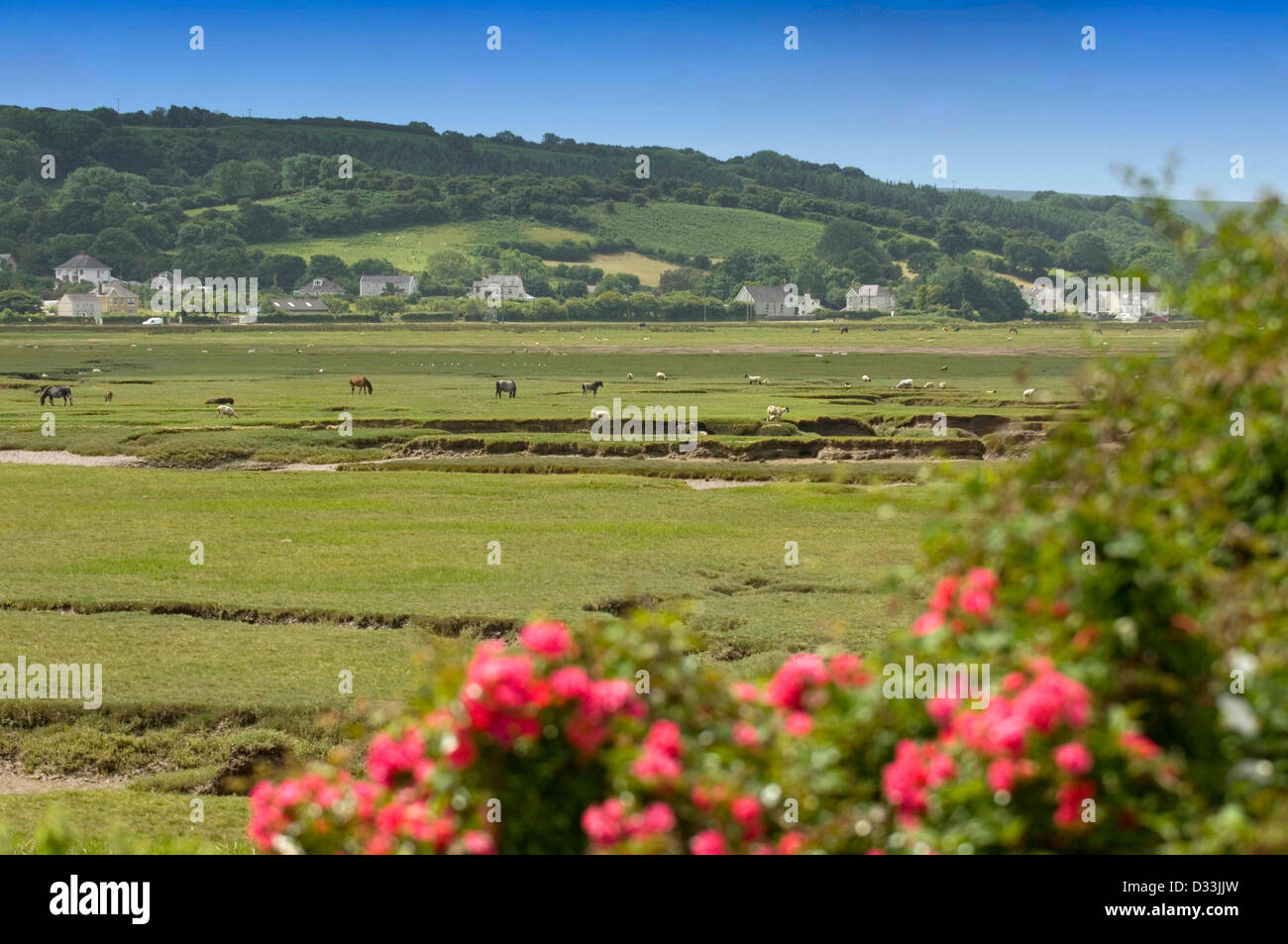 Marshfield House in Crofty near Swansea, which is on the market with ...