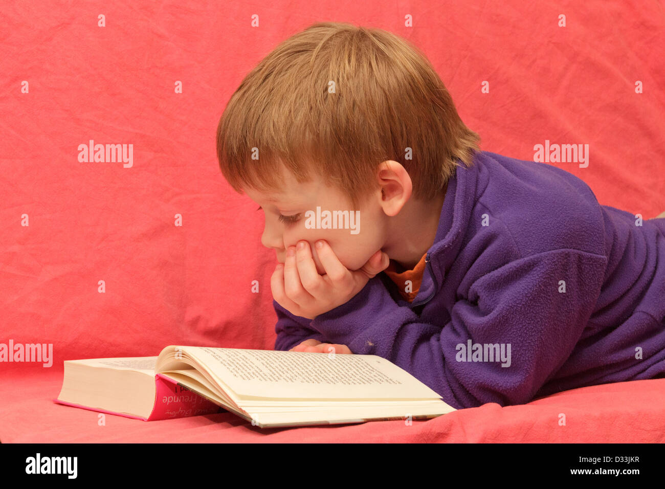 portrait of a young boy reading a book Stock Photo - Alamy