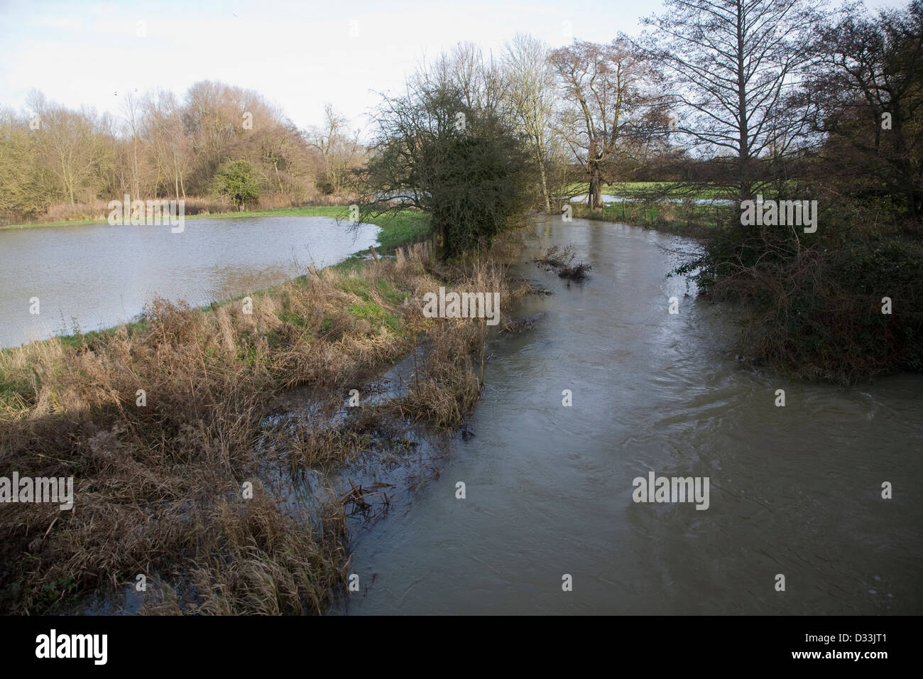 River Deben in bankfull stage with levee on river bank and water on ...