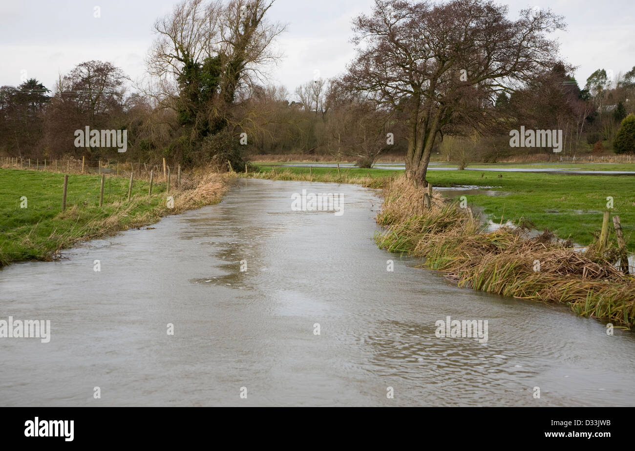 Under River Water Level High Resolution Stock Photography and Images ...