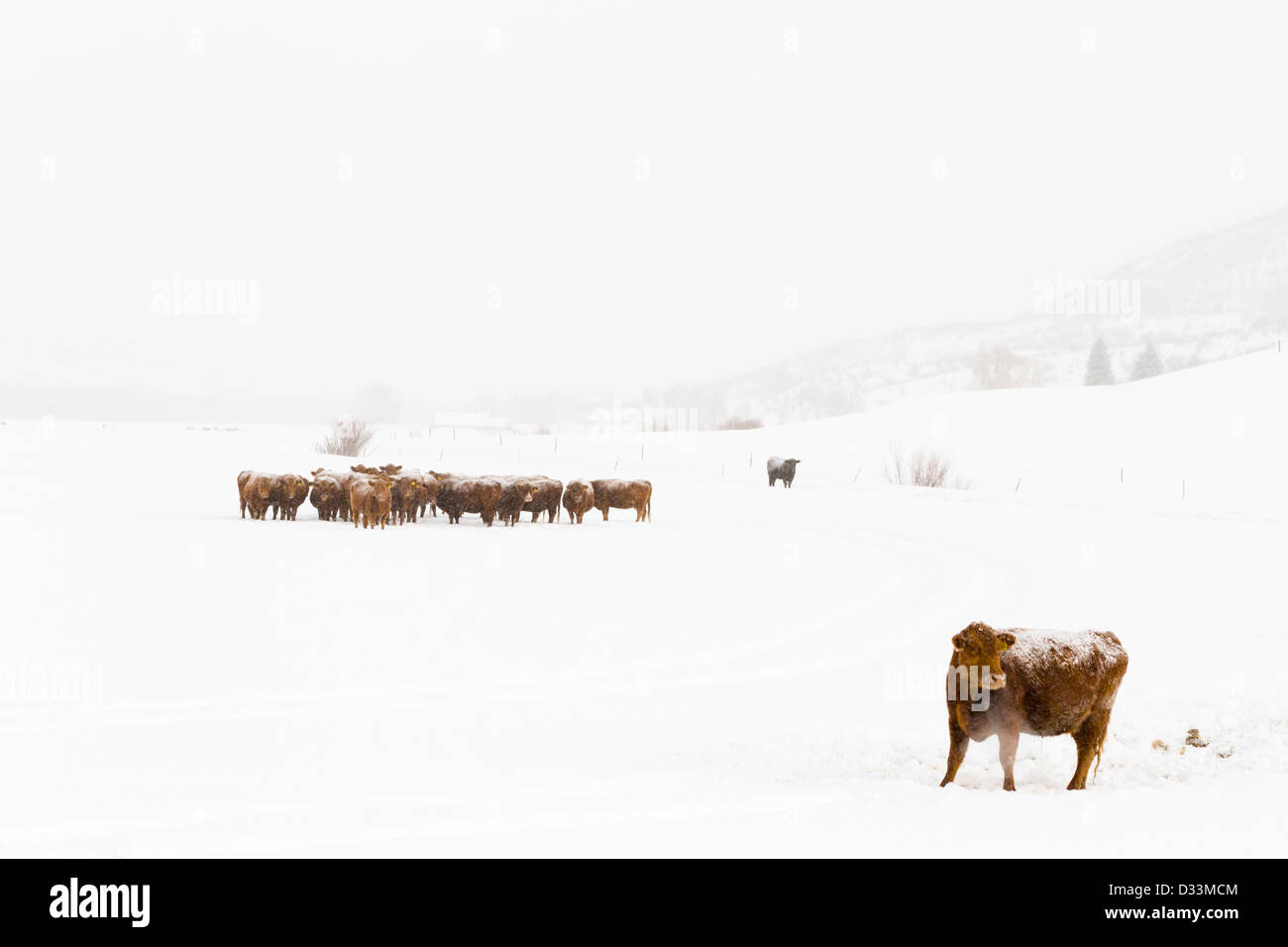 Snow covered mountain cold Cut Out Stock Images & Pictures - Alamy