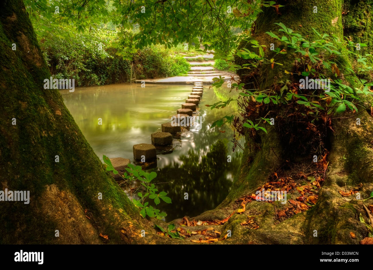 Enchanted forest scene of slow flowing stream with vibrant reflections ...