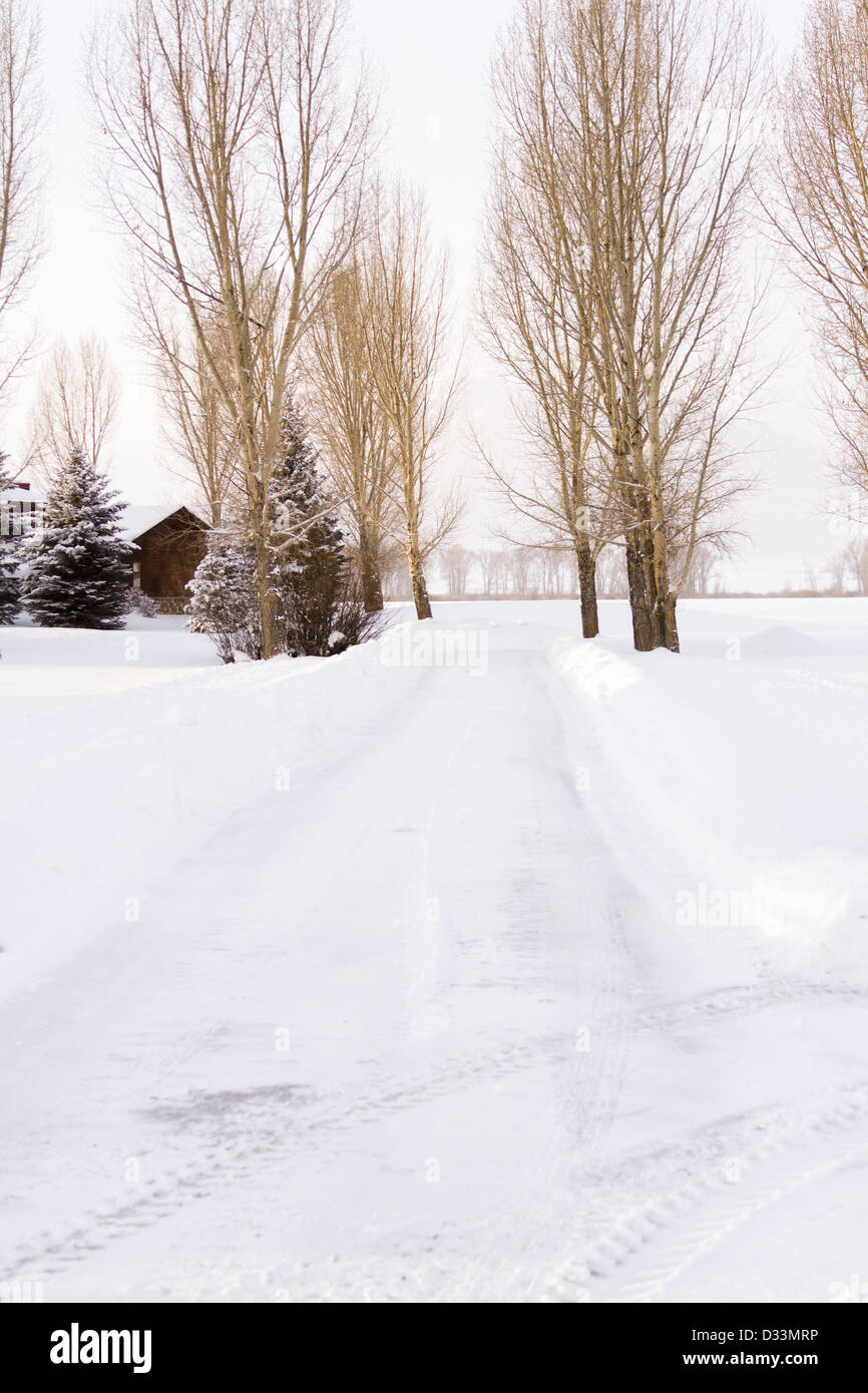 Routt county colorado hi-res stock photography and images - Alamy