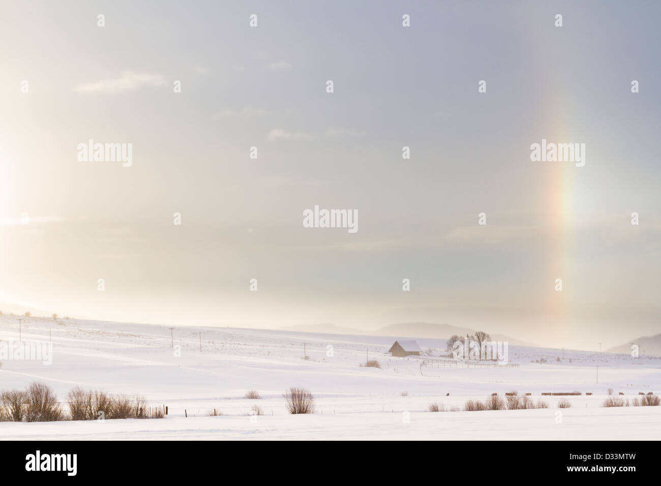 Dog colorado springs hi-res stock photography and images - Alamy