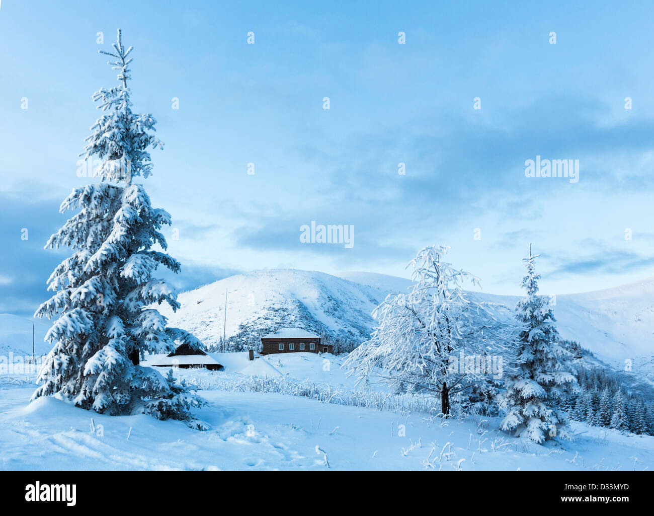 Morning (before the sunrise) winter mountain landscape with snow ...
