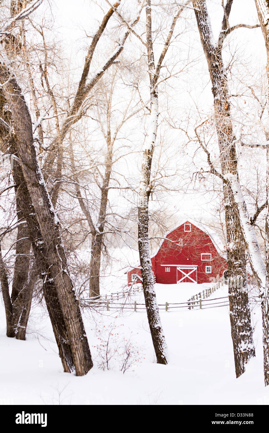Red barn in snow on lamb farm Stock Photo - Alamy
