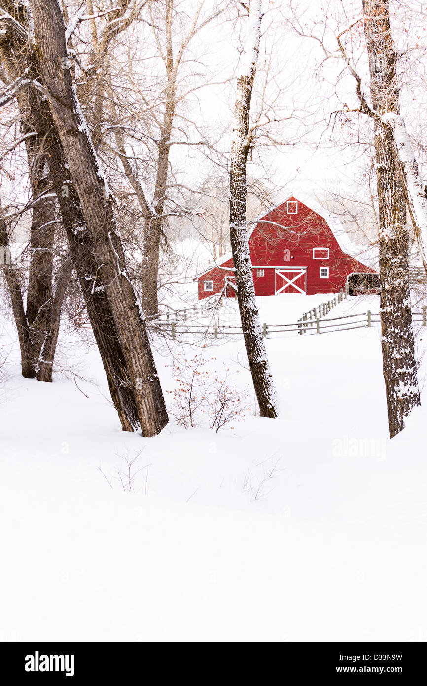 Red barn in snow on lamb farm Stock Photo - Alamy