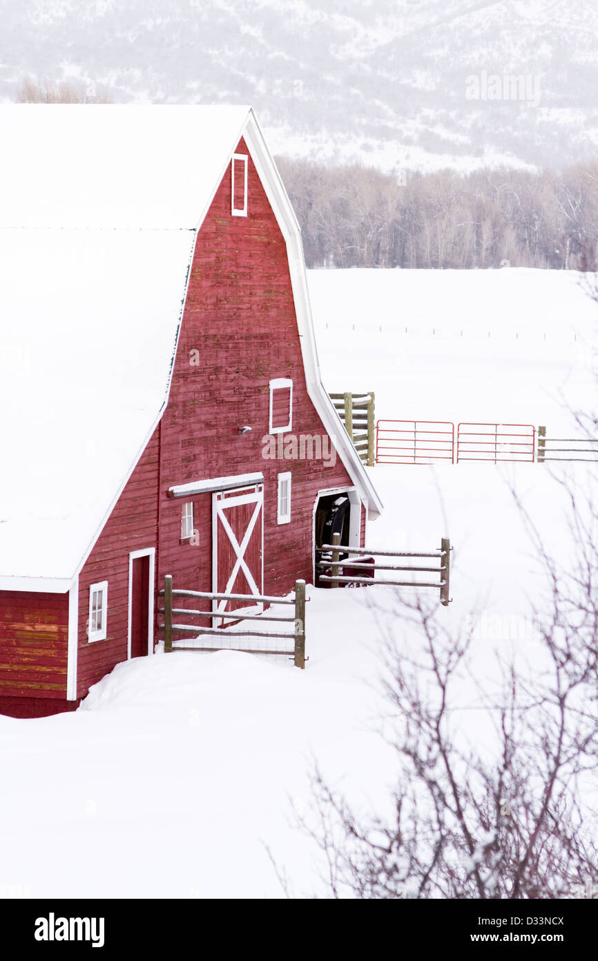 Red barn in snow on lamb farm Stock Photo - Alamy