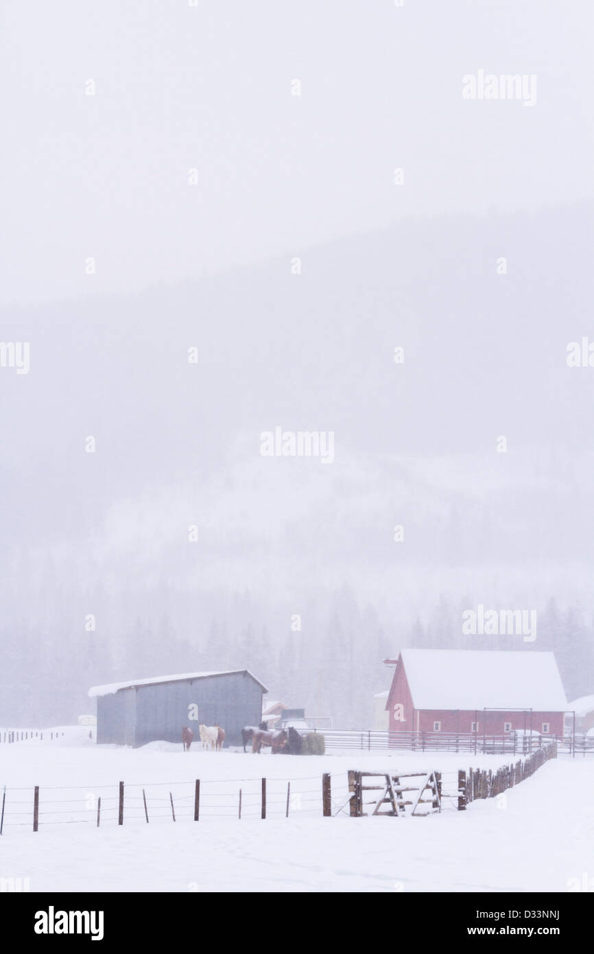 Winter on rural farm in Colorado Stock Photo - Alamy