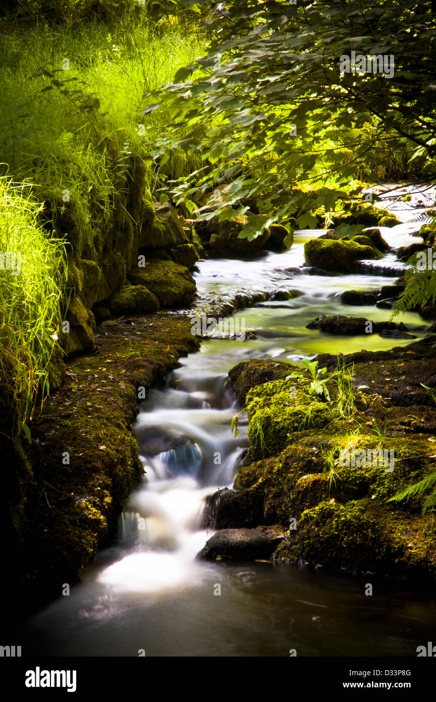gentle calming stream scene with slow shutter speed milky water effect ...