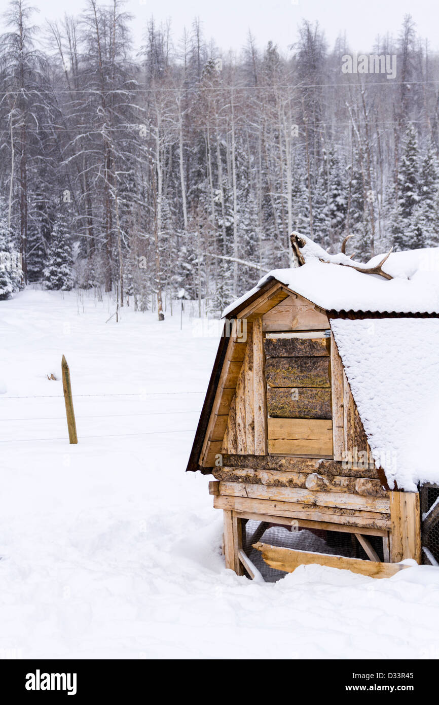 Chicken coop in snow on a small farm Stock Photo - Alamy