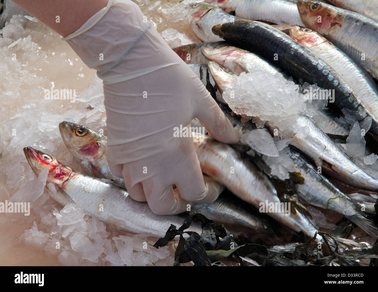Fishmonger butcher seafood hi-res stock photography and images - Alamy