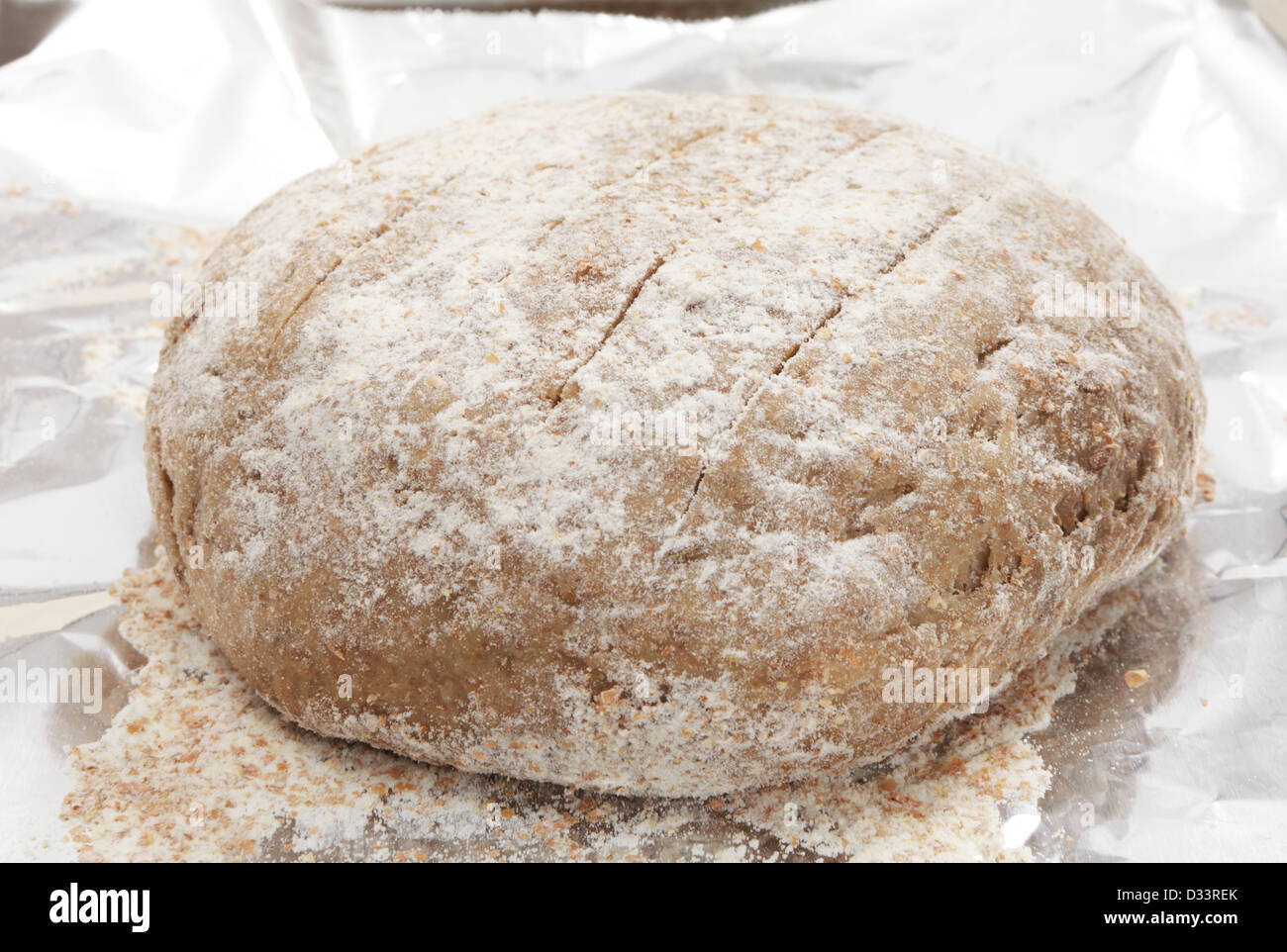 A ball of Polish rye bread dough rising on a sheet of tinfoil on a ...